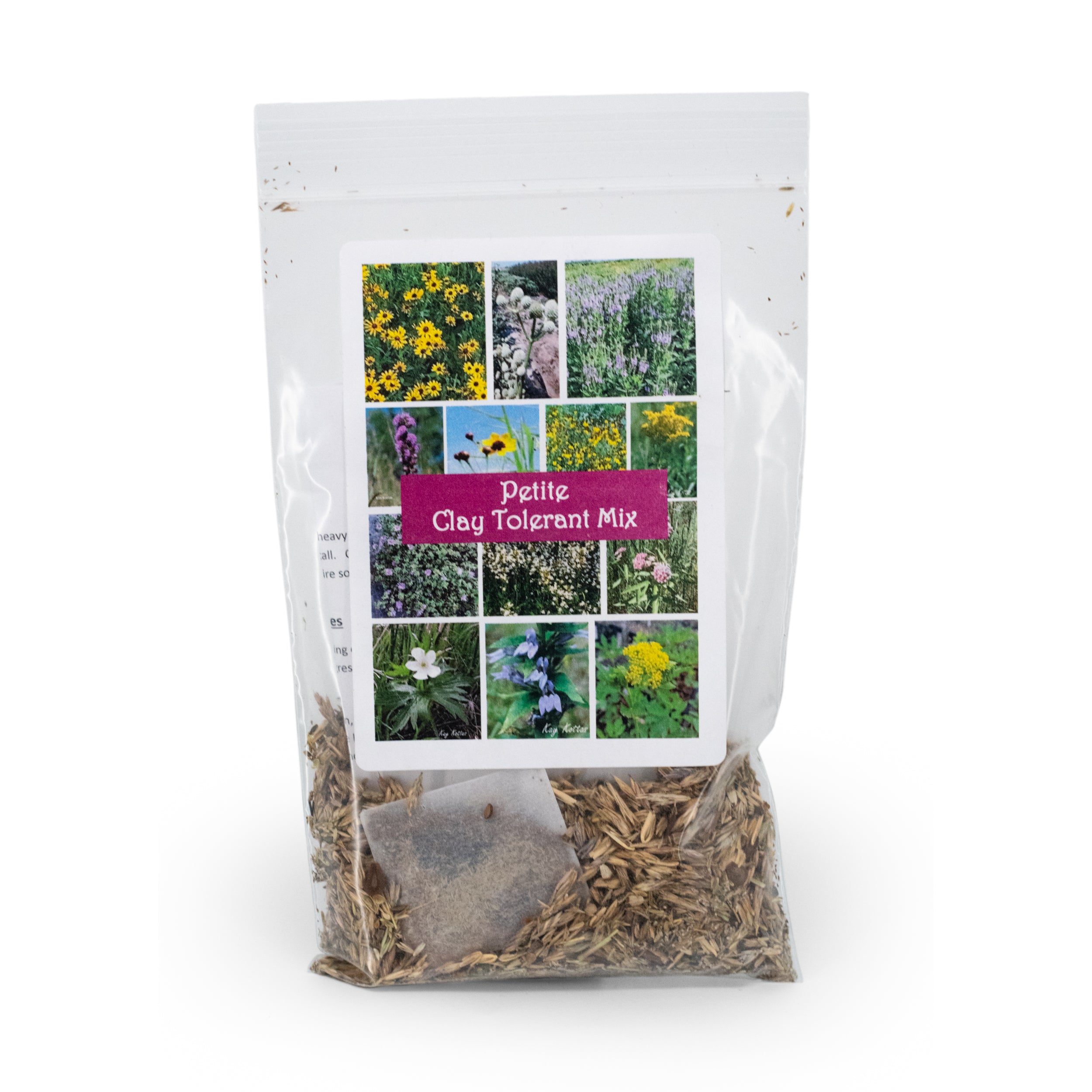 Petite Clay Tolerant Nebraska Wildflower Seed Mix | 1.44 oz | Prairie ...
