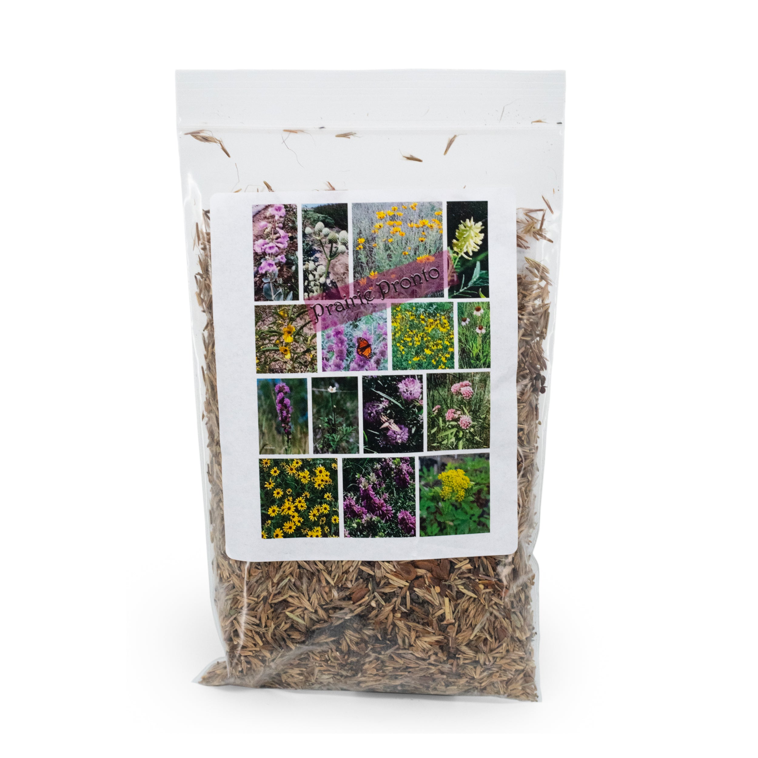 Prairie Pronto Native Nebraska Seed Mix | 2.4 oz | Prairie Legacy Inc ...