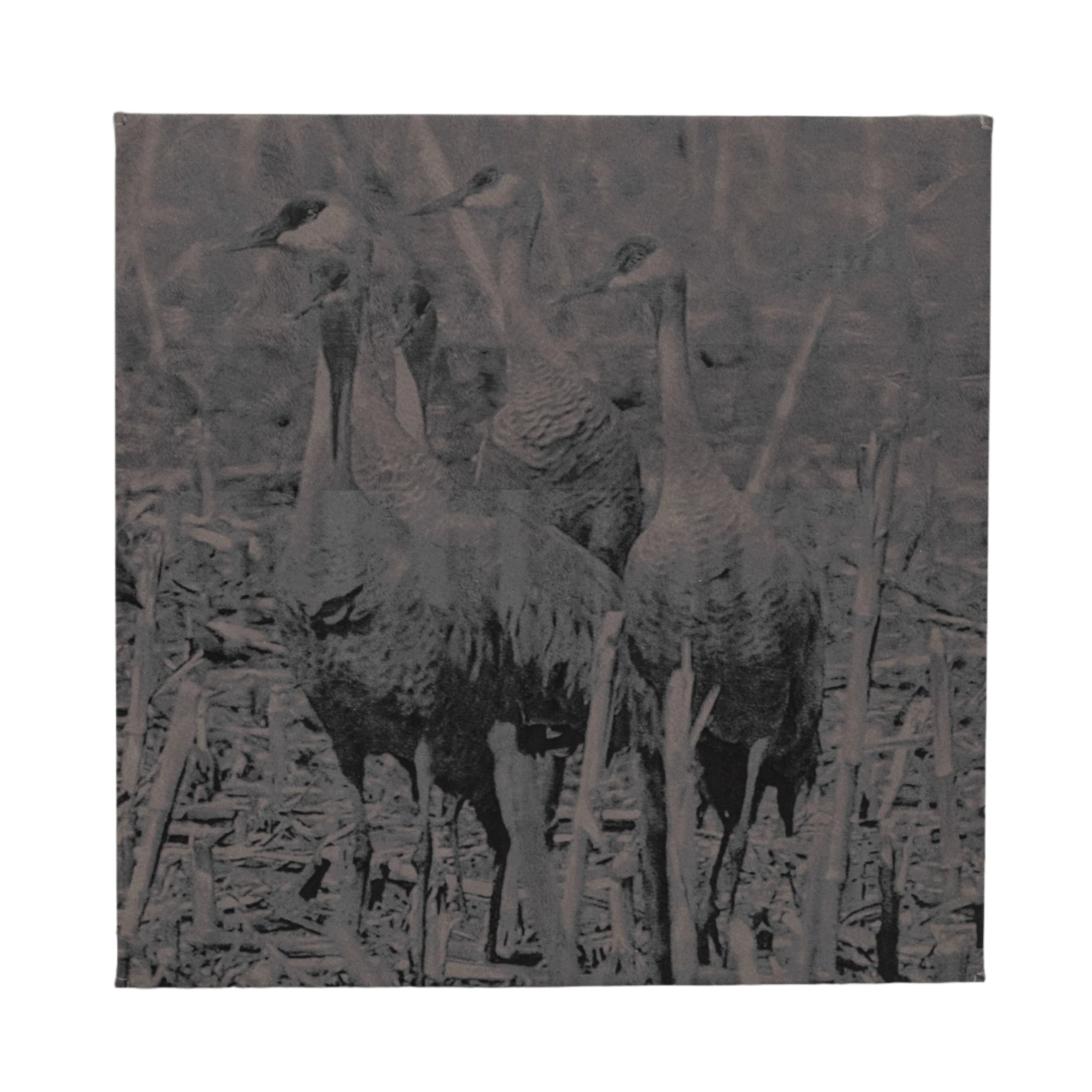 Leather Crane Canvas | 10" x 10" | RCK Creations and More – BuyNebraska.com