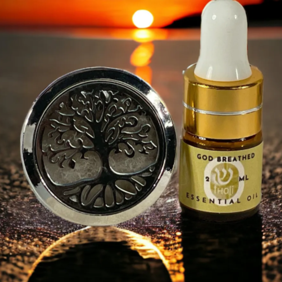 Essential Oil Car Diffuser | 2 ml Oil Included | tHoli – BuyNebraska.com